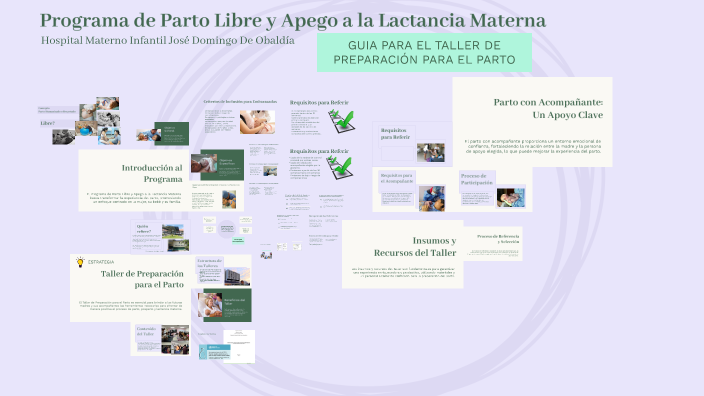 Programa de Parto Libre y Apego a la Lactancia Materna by Gisela ...