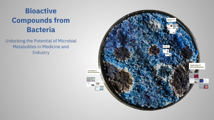 Bioactive Compounds from Bacteria by Ibrahim Ashour Ibrahim on Prezi