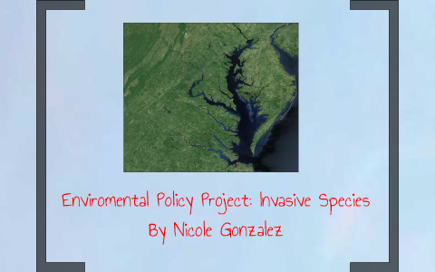 Invasive Species and Their Effect on the Chesapeake Bay Area by Nicole ...