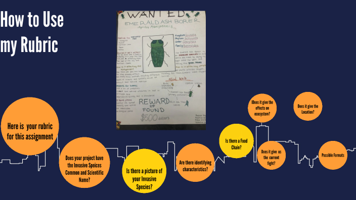 Invasive Species Wanted Poster by kevin conroy on Prezi