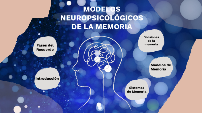 Modelos Neuropsicologicos de la Memoria by Matias Esteche on Prezi