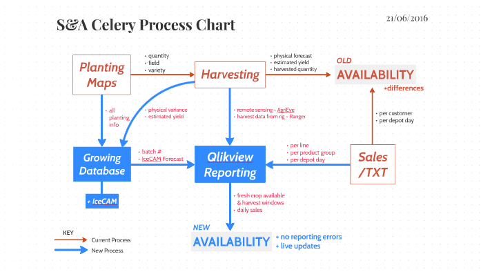 S&A Celery Process Chart by Adam Chai