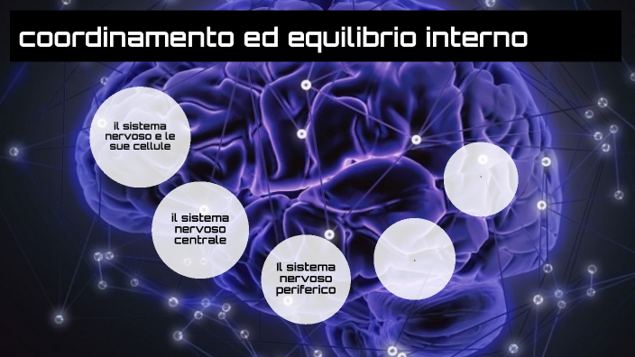 coordinamento ed equilibrio interno by Viviana Lipari on Prezi