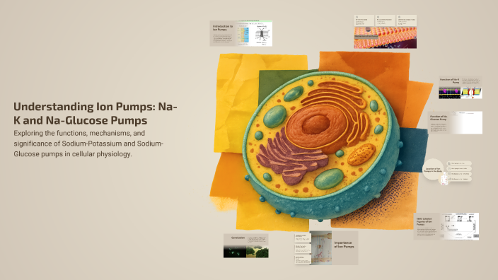 Understanding Ion Pumps: Na-K and Na-Glucose Pumps by Shivam Gmail on Prezi
