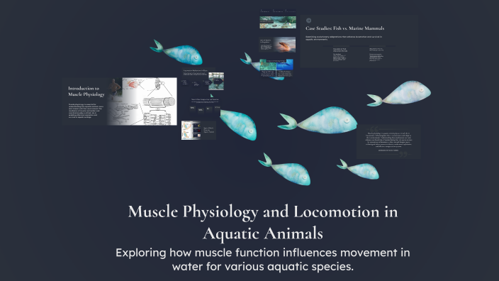 Muscle Physiology and Locomotion in Aquatic Animals by Harriet Stevens ...