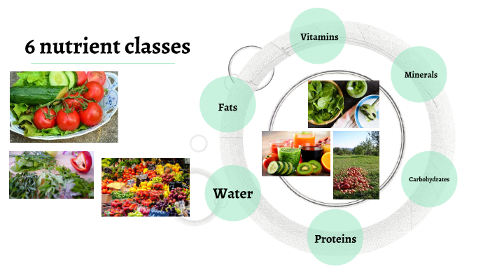 Nutrient classes by Makinzie Parsons on Prezi