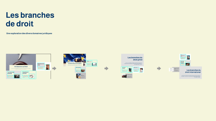 Les branches de droit by Salma Chahid on Prezi