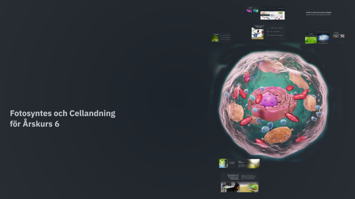 Fotosyntes och Cellandning för Årskurs 6 by Niklas Bergström on Prezi