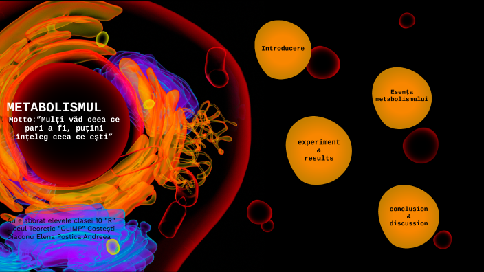 Metabolismul DEAP by Diaconu Elena on Prezi