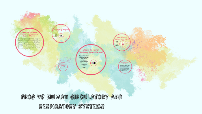 Frog vs Human by Christopher Chavez on Prezi