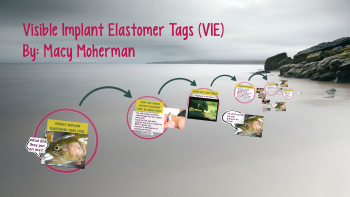 Visible Implant Elastomer Tags (VIE) by Macy Moherman on Prezi