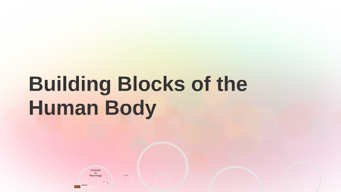 Building Blocks of the Human Body by Alejandra Rosales on Prezi