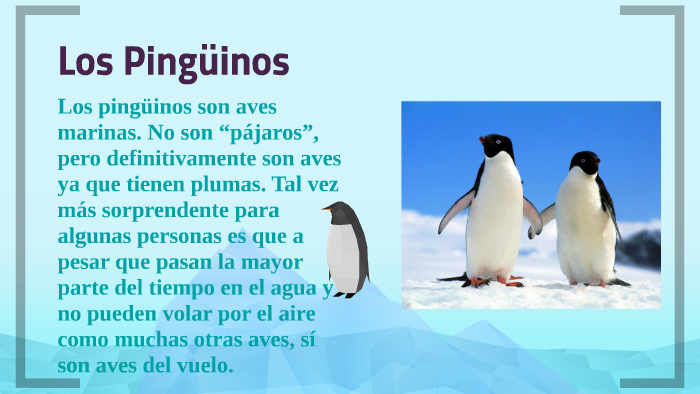 los pinguinos by esteban velez reyes on Prezi