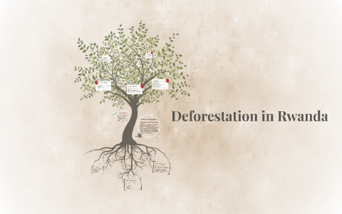 Deforestation in Rwanda by Claire Grega on Prezi