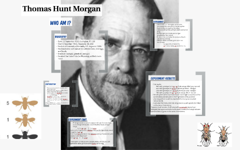 Thomas Hunt Morgan by Ashley Dinh on Prezi