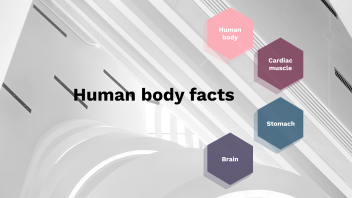 human body facts by James Williams on Prezi