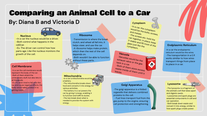 Animal Cell->Car by Diana Balitska on Prezi