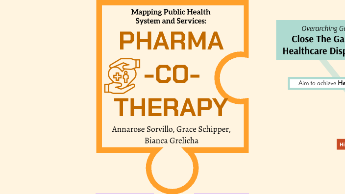 Mapping Public Health system and services by Bianca Grelicha on Prezi