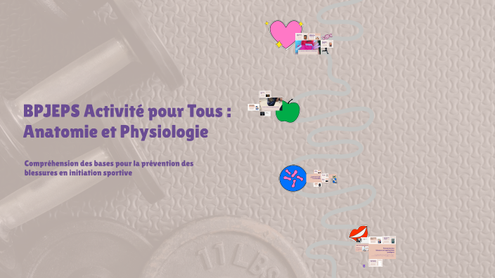 BPJEPS Activité pour Tous : Anatomie et Physiologie by Issam KATTABI on Prezi