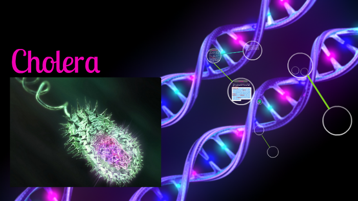 Cholera by Carol Aponte on Prezi