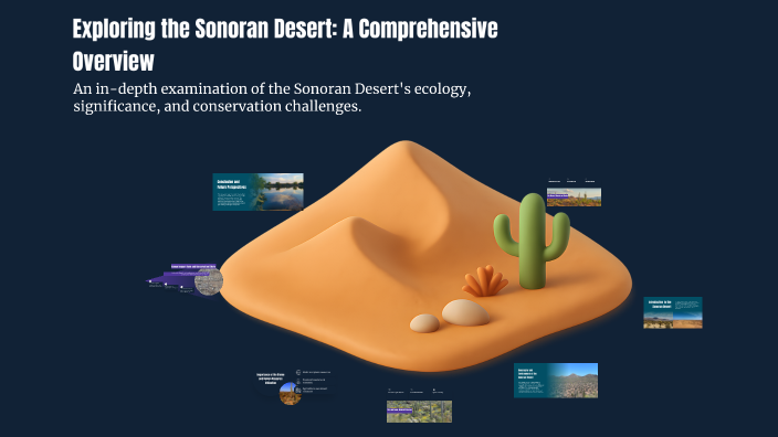 Exploring the Sonoran Desert: A Comprehensive Overview by Jayden ...