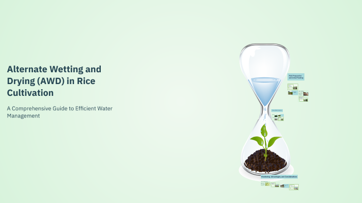 Alternate Wetting and Drying (AWD) in Rice Cultivation by Raj Kummar on ...