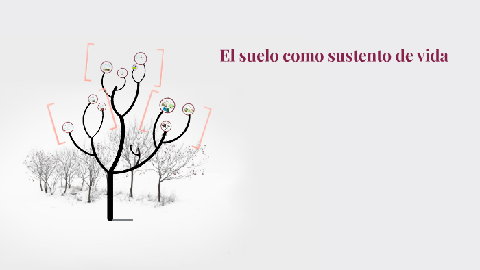 El suelo como sustento de vida by CAMILA GAIBOR on Prezi