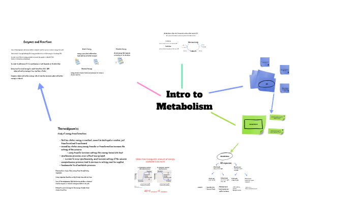 Chapter 6 mind map by Eugene Choi on Prezi