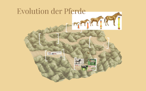 Evolution der Pferde by Charlotte Kovac on Prezi