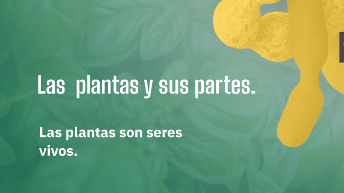 Explorando el mundo de las plantas by adriana guevara on Prezi