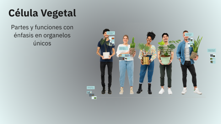 Célula Vegetal by Isabela Rodriguez on Prezi