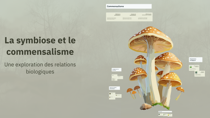 La symbiose et le commensalisme by achroubal aya on Prezi