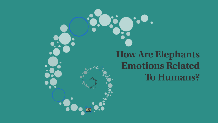 How Are Elephants Emotions Related To Humans? by Yutzilt Gomez on Prezi