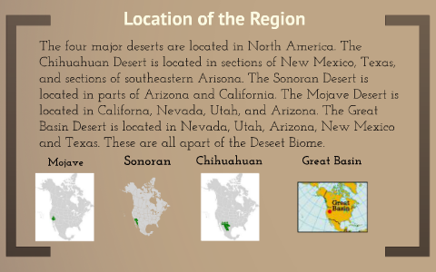 The Desert by Taylor McCool on Prezi