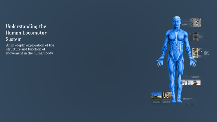 Understanding the Human Locomotor System by Karolina Laskowska on Prezi