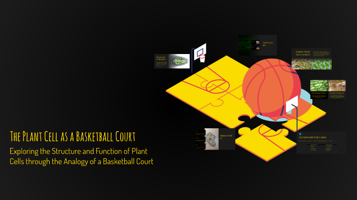The Plant Cell as a Basketball Court by Jahmari Sterling on Prezi