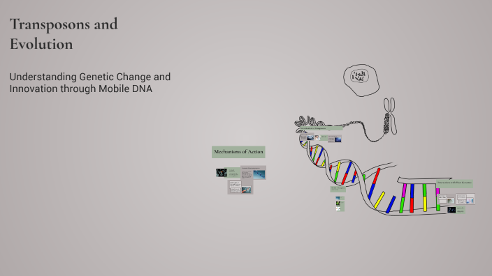 Transposons and Evolution by Missi Schall on Prezi