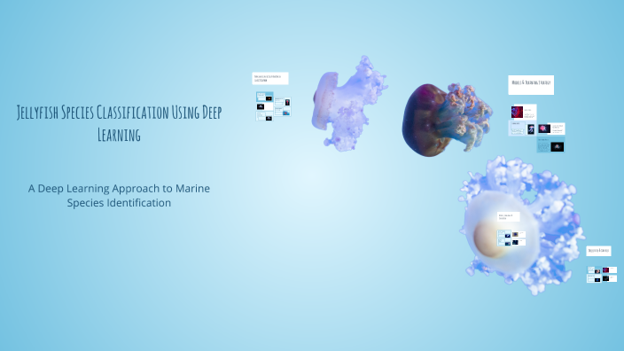 Jellyfish Species Classification Using Deep Learning by NAMRA V on Prezi