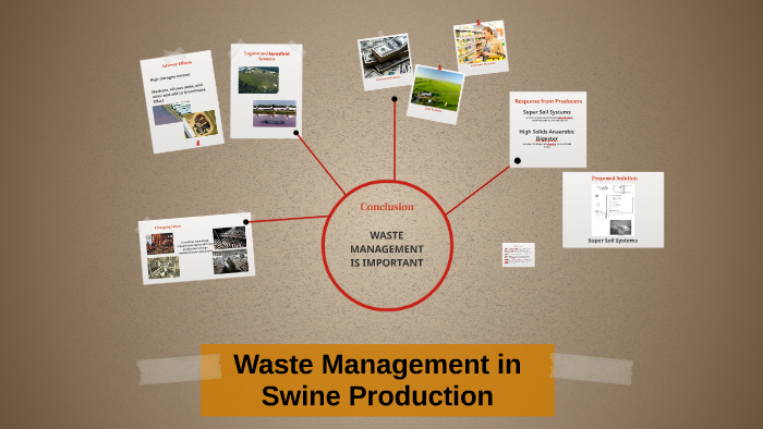 Waste Management in Swine Production by Sanya Mann on Prezi