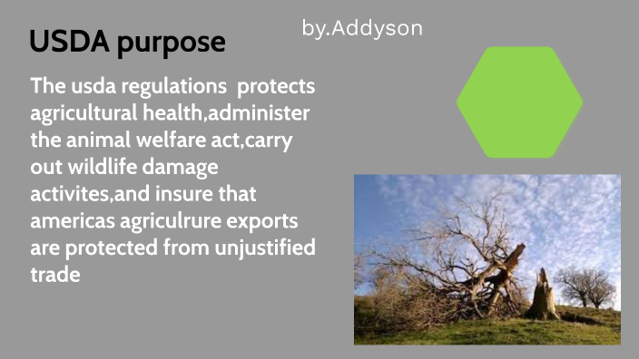 USDA project by Addyson Mitchell on Prezi
