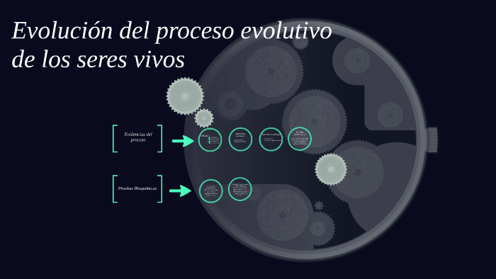 Evolucion del proceso evolutivo de los seres vivos by Julieta Rochi on ...
