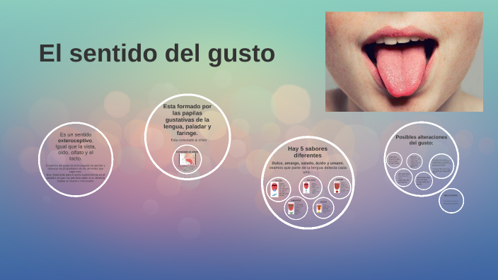 Sentido del gusto by alejandra sanchez on Prezi