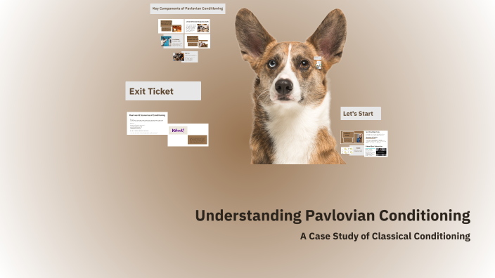 Understanding Pavlovian Conditioning by Amen on Prezi