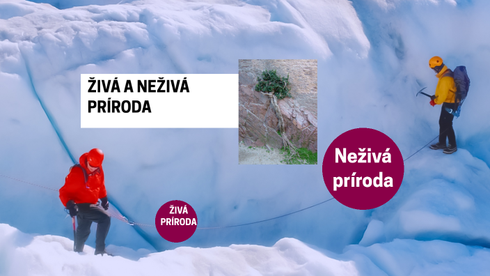 Živá a neživá príroda by Denisa Pavliková on Prezi
