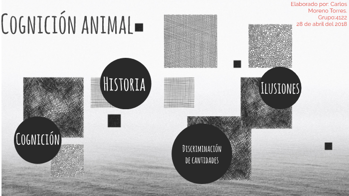 Cognición animal (discriminación de cantidades y percepción) by Carlos ...