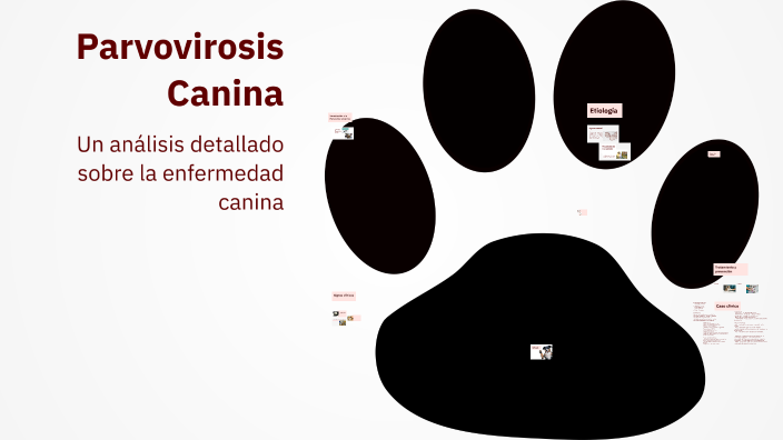 Parvovirosis Canina by Victor Vigil on Prezi