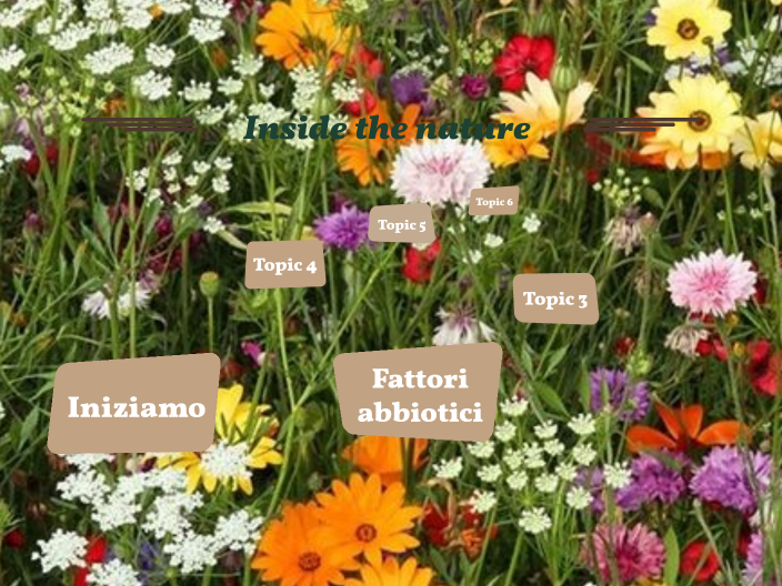 LA PRETERIA by natanim eyob tefera on Prezi