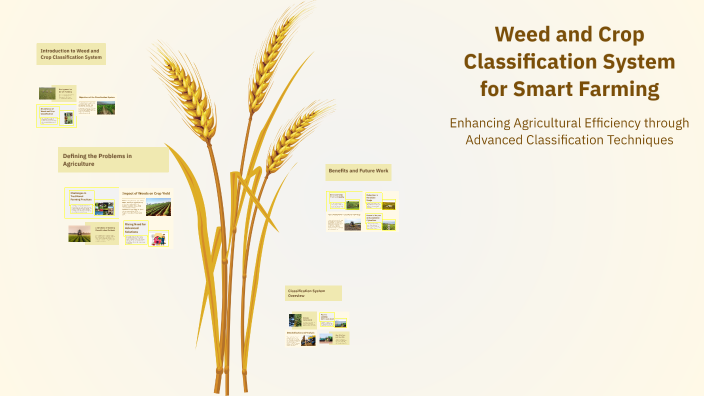 Weed and Crop Classification System for Smart Farming by Henil shah on ...