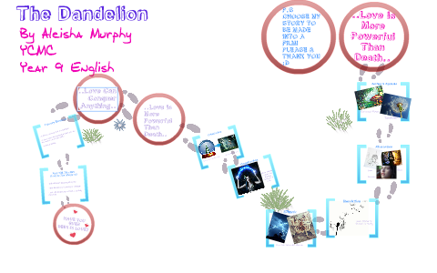 The Dandelion by Aleisha Murphy on Prezi