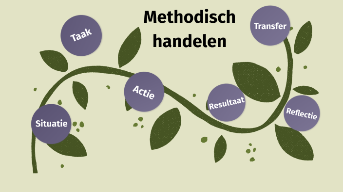 Methodisch handelen by Romy Hollevoet on Prezi